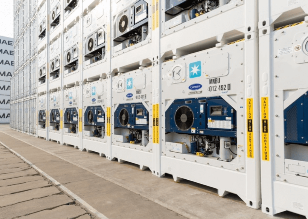 Reefer Cargo || Three Line Logistics and Shipping Pvt. Ltd.